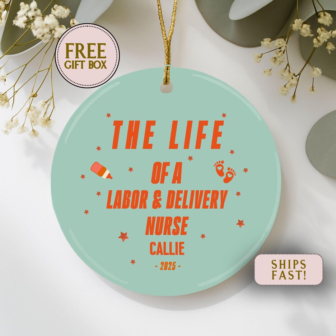 Personalized Labor and Delivery Nurse Ornament, Custom Life of a Labor ...
