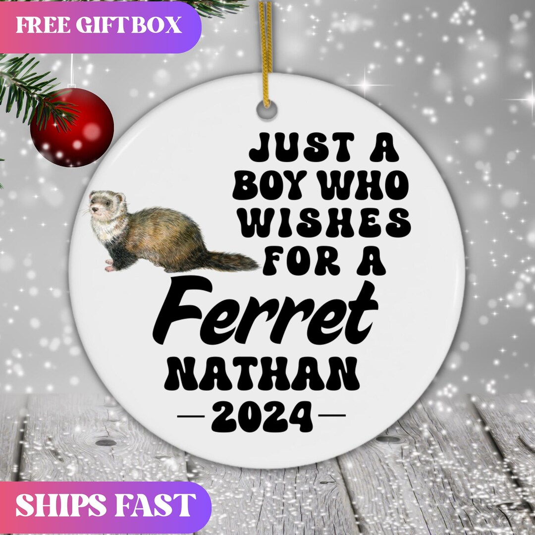 Personalized Ferret Ornament, Custom Just a Boy Who Wishes for Ferrets ...