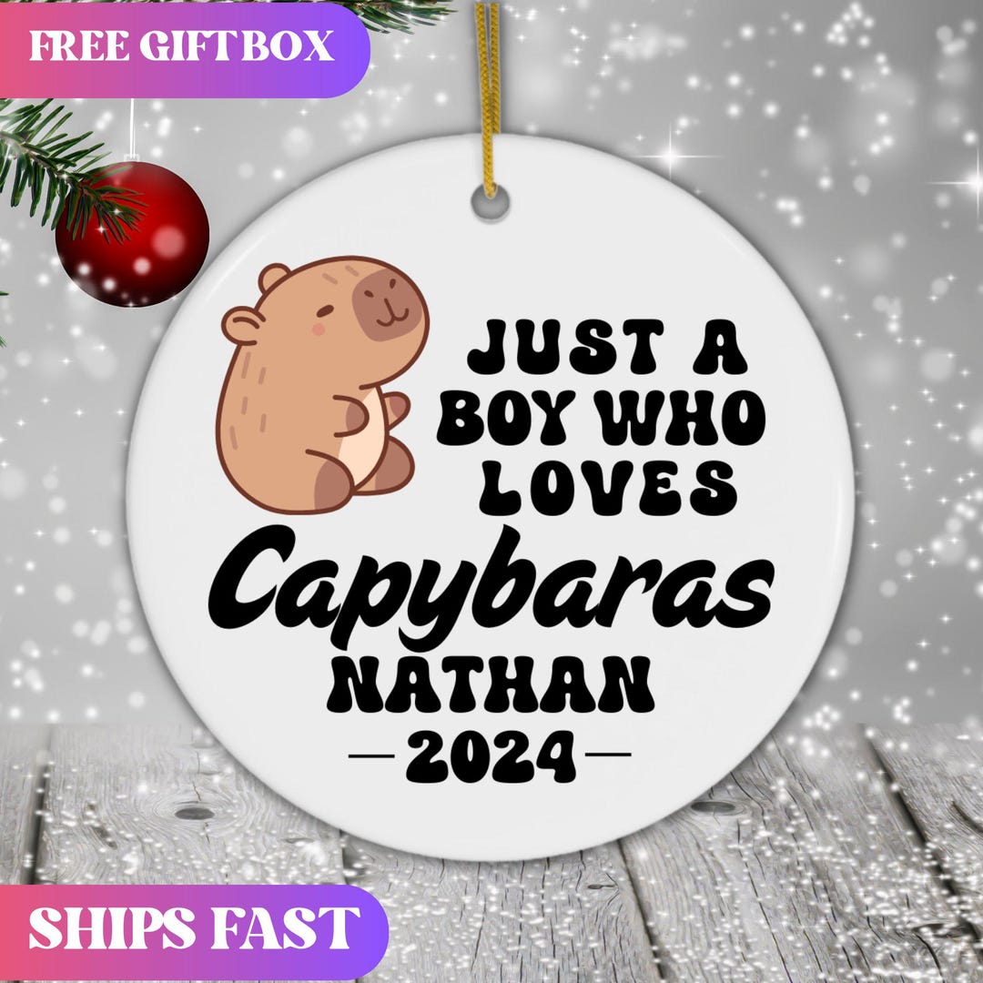 Personalized Capybara Ornament, Custom Just a Boy Who Loves Capybaras ...