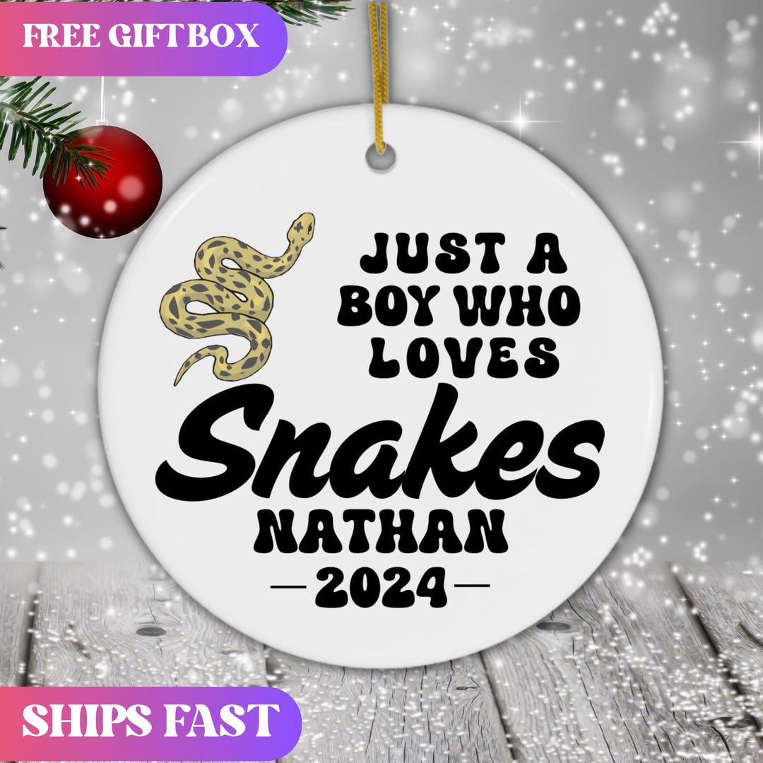 Personalized Snakes Ornament, Custom Just a Boy Who Loves Snakes ...