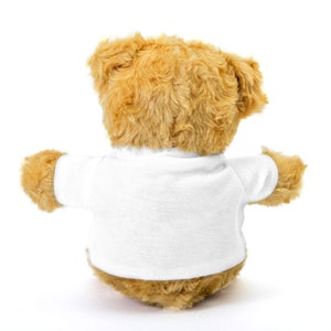 Hug Bear Emotional Support Teddy Bear Thinking of You Gift Plushie ...