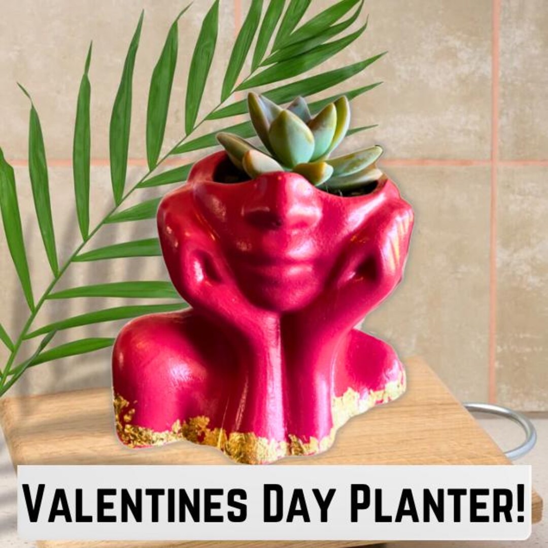 Valentines Day Planter Gift for Valentines Day Valentines Table ...