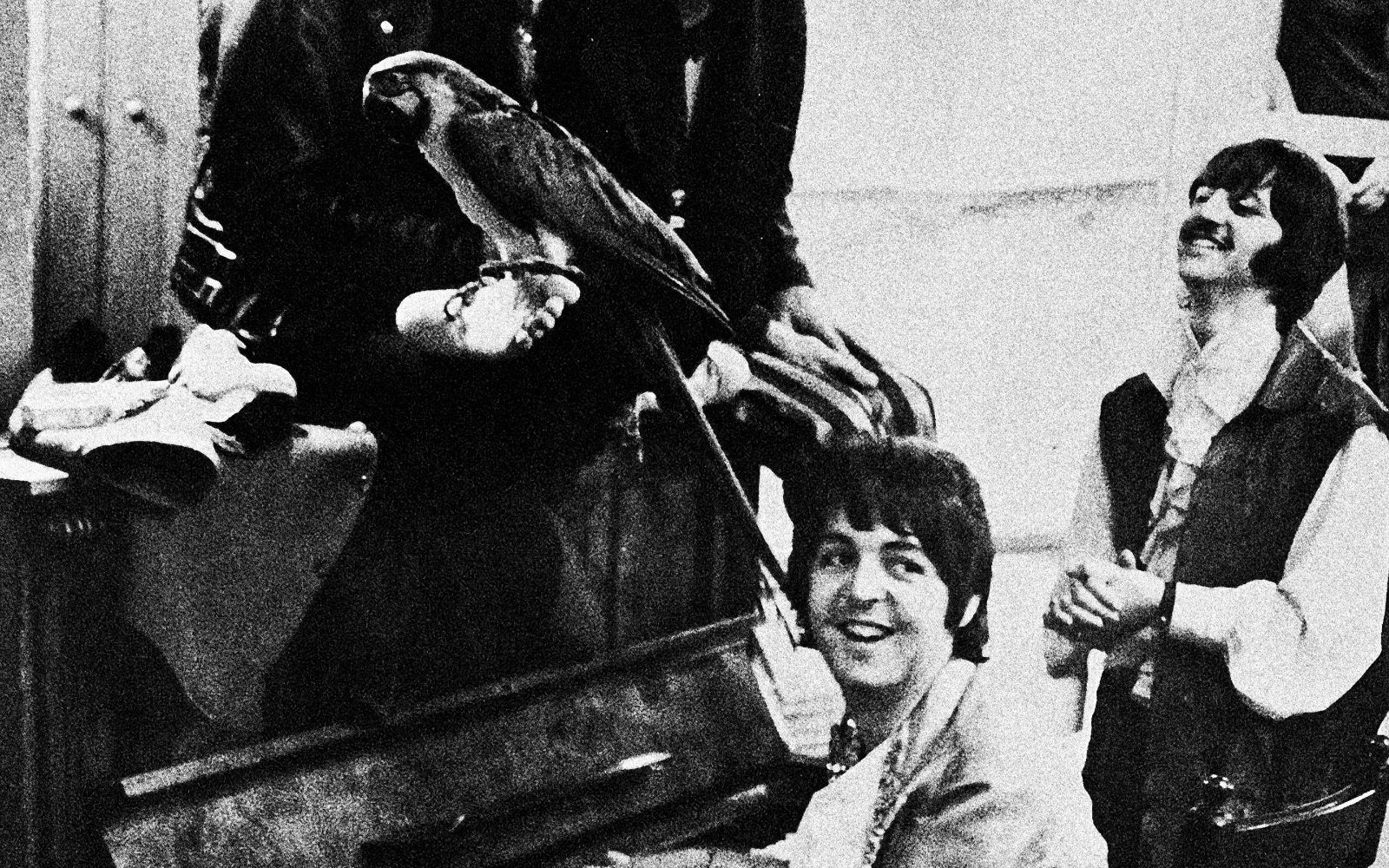 THE BEATLES 'hey Jude/revolution' 1968 Apple Records Promo Poster ...