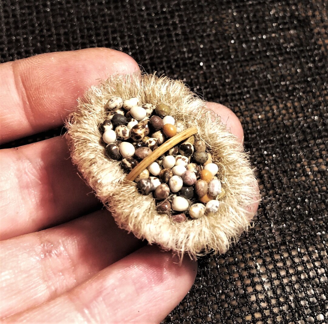 Dollhouse Miniature 1/12 Cute Miniature Quail Eggs,quail Eggs in Basket ...