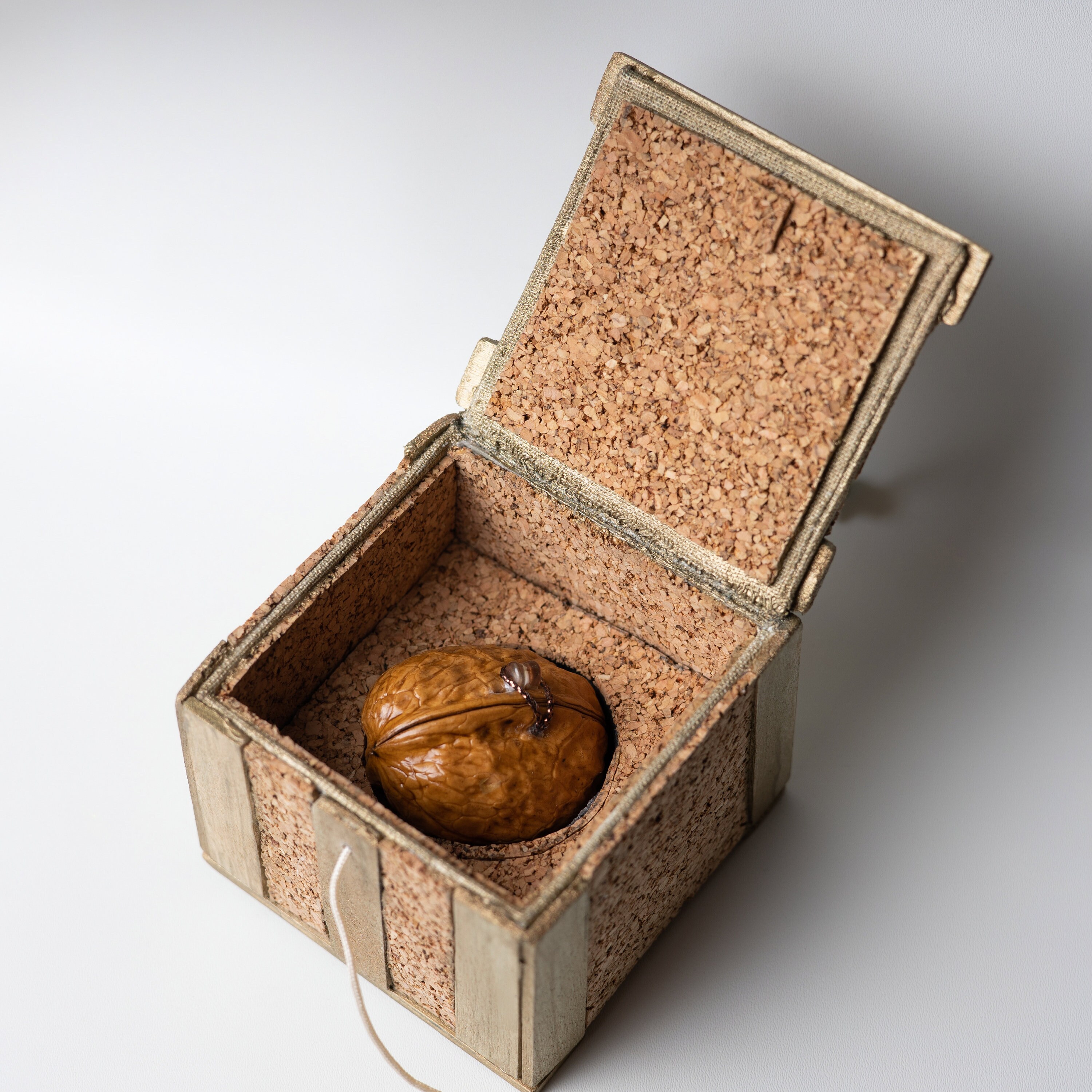 OOAK Walnut Miniatureminiature Nut kitten Woof - Etsy