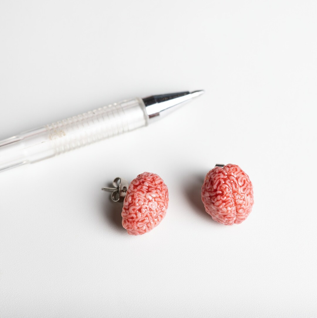 Earrings Stud Anatomical Brain - Etsy