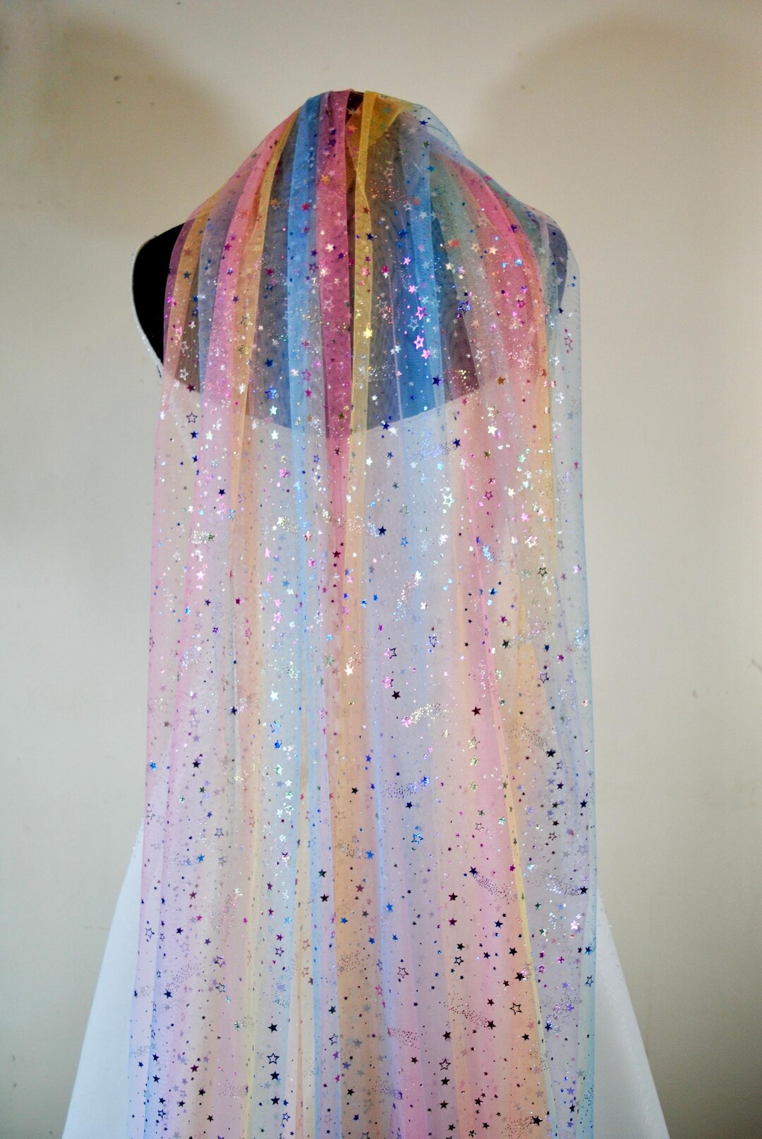 Rainbow Glitter Shooting Star Veil, Floor Length Unique Wedding Veil ...