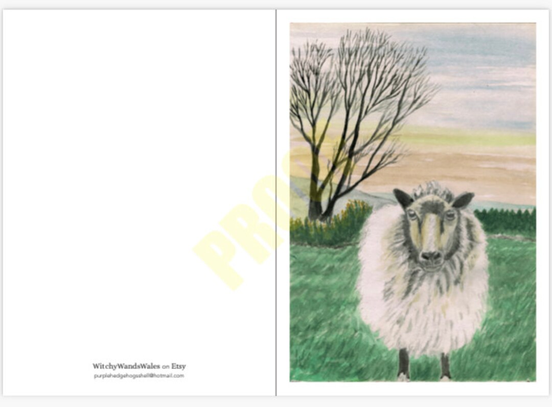 Shetland Sheep Greetings Card and Envelope - Etsy