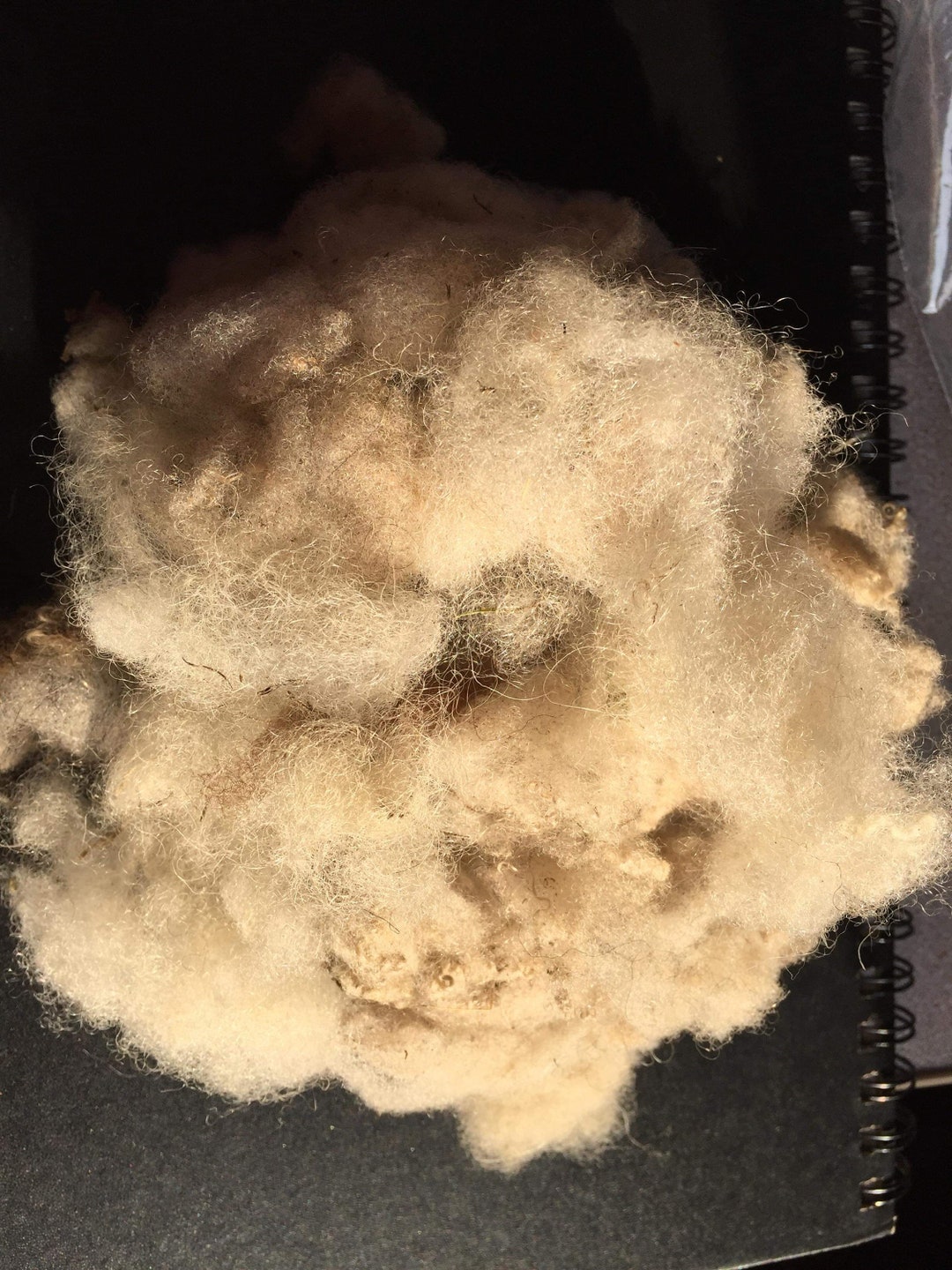 Raw Shetland Sheep Wool 100g - Etsy