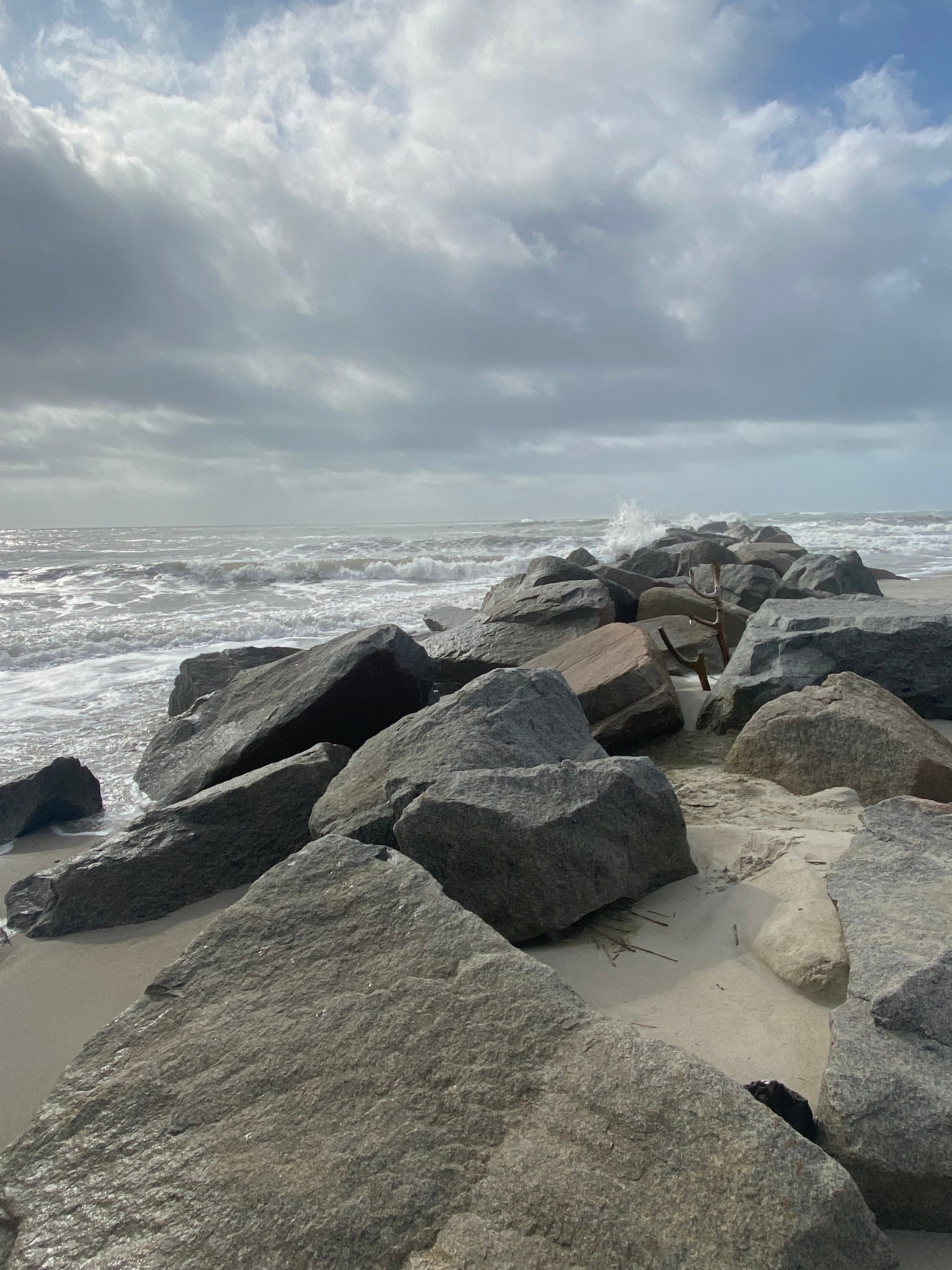 Wampum Quahog Clam Shell Natural Purple Chunks Pieces Beach Ocean ...