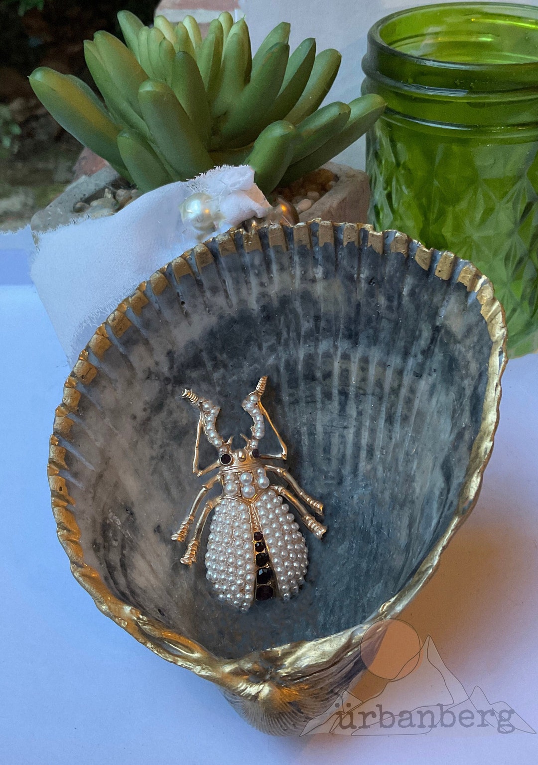 Large Atlantic Giant Cockle Pearl Beetle Gold Leaf North Carolina Home ...