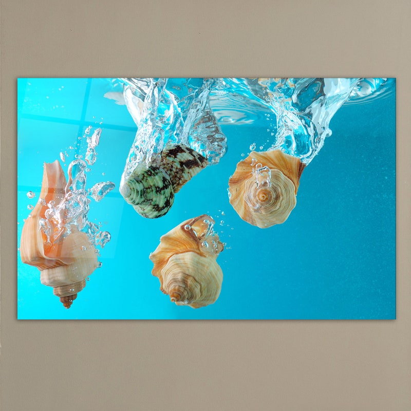Sea Shell Wall Art - Etsy