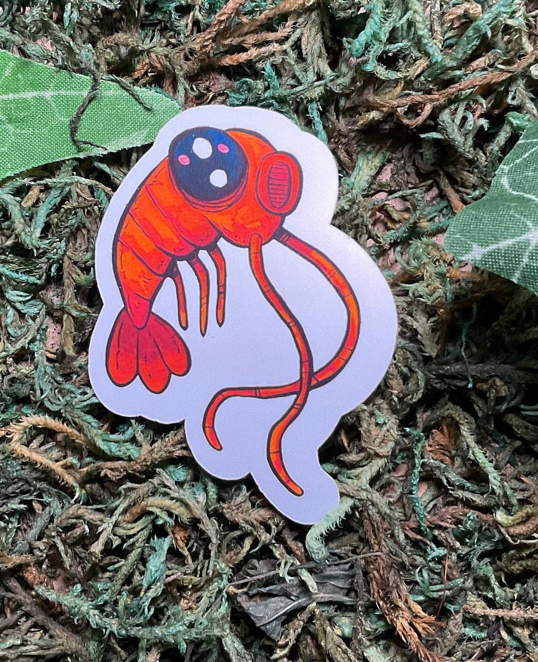 Shrimp Vinyl Sticker - Etsy