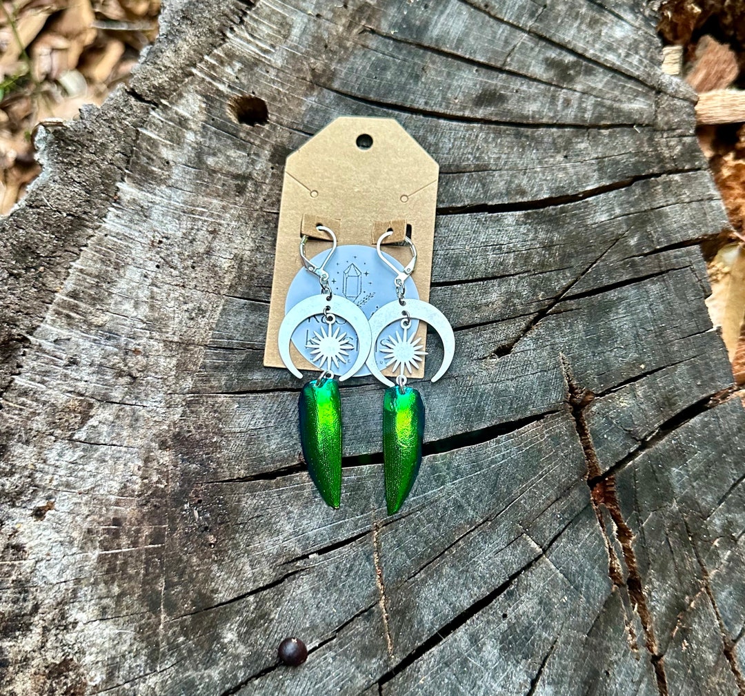 Real Beetle Wing Earrings, Jewel Beetle Elytra, Gauges, Gauge Friendly ...