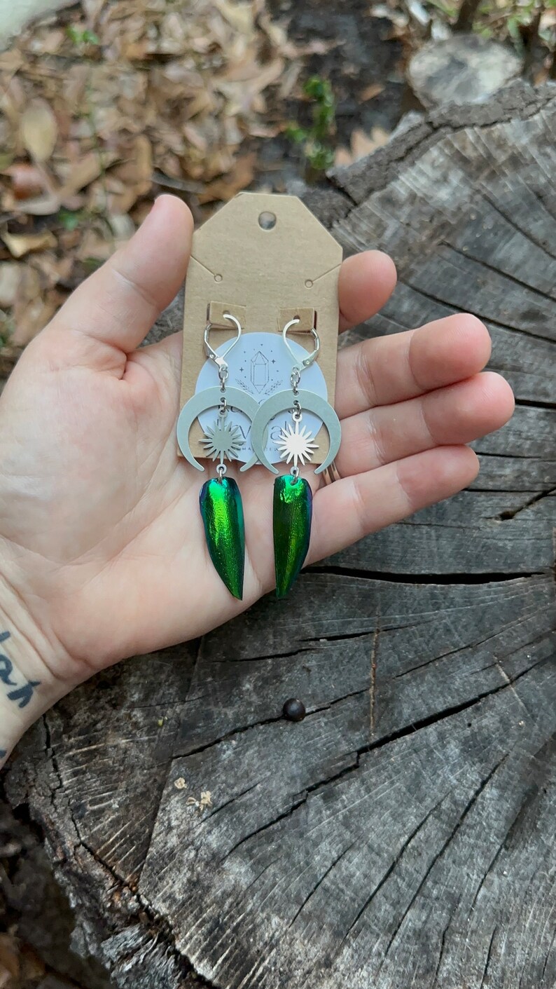 Real Beetle Wing Earrings, Jewel Beetle Elytra, Gauges, Gauge Friendly ...