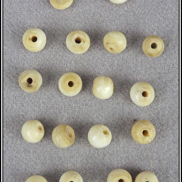 Indian Bone Beads - Etsy