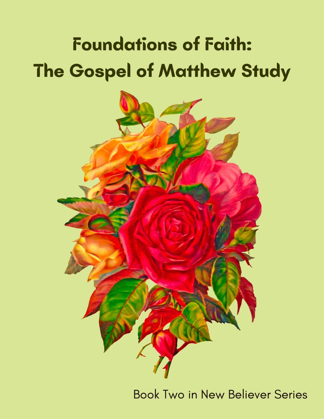 Foundations of Faith: Gospel of Matthew Study Book Two in New - Etsy