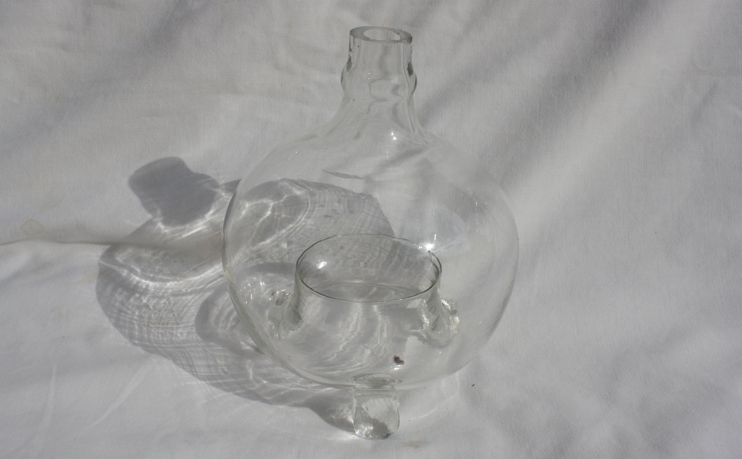 Blown Glass Fly Catcher, Hungarian Wasp Trap - Etsy