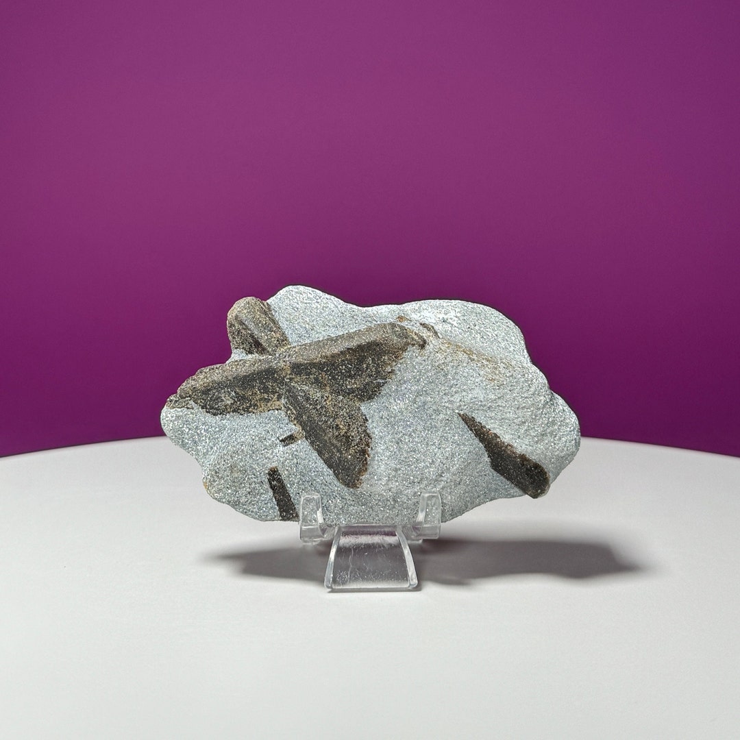 Staurolite Stone, Fairy Cross russia includes Acrylic Stand - Etsy