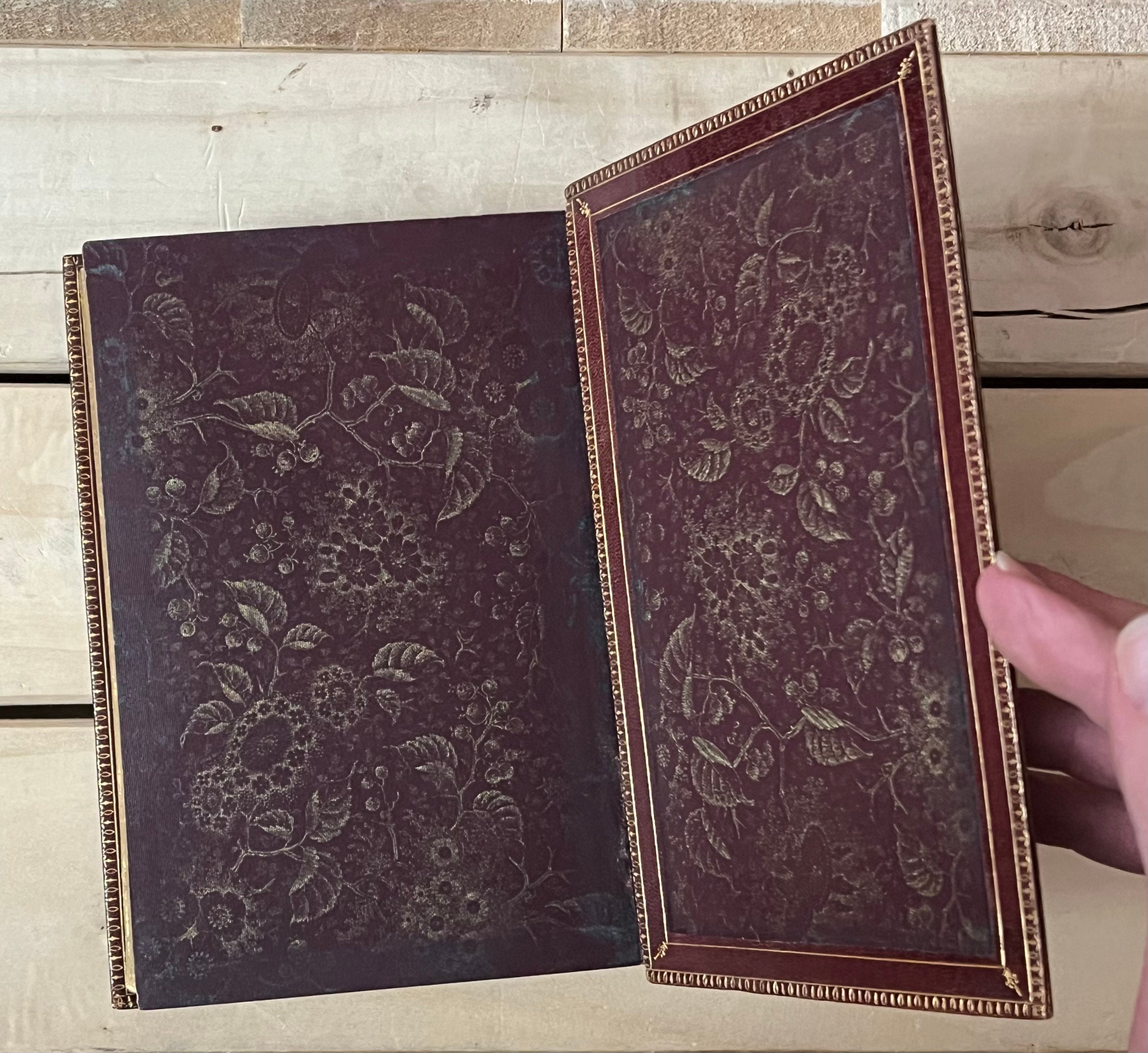 Luxurious Blue Leather Fine Binding 1880s Limited Edition. Paul and ...