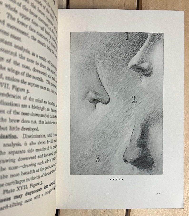 Weird 1914 Physiognomy Book: Character Reading Through Analysis of the ...