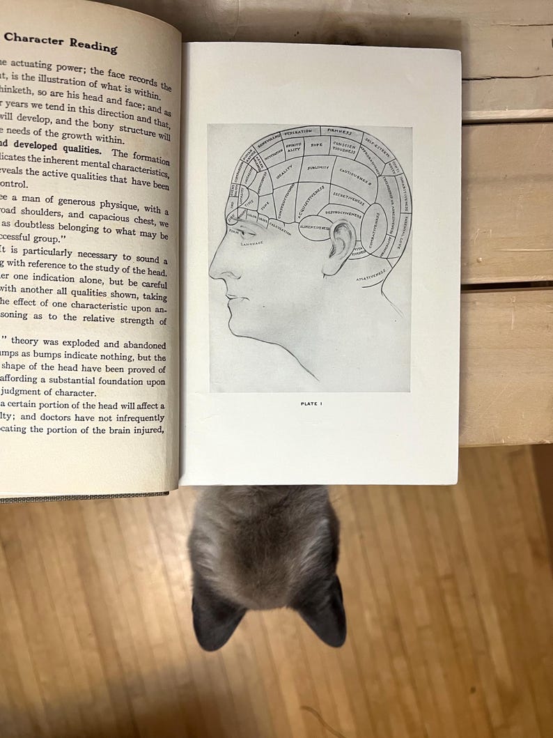 Weird 1914 Physiognomy Book: Character Reading Through Analysis of the ...