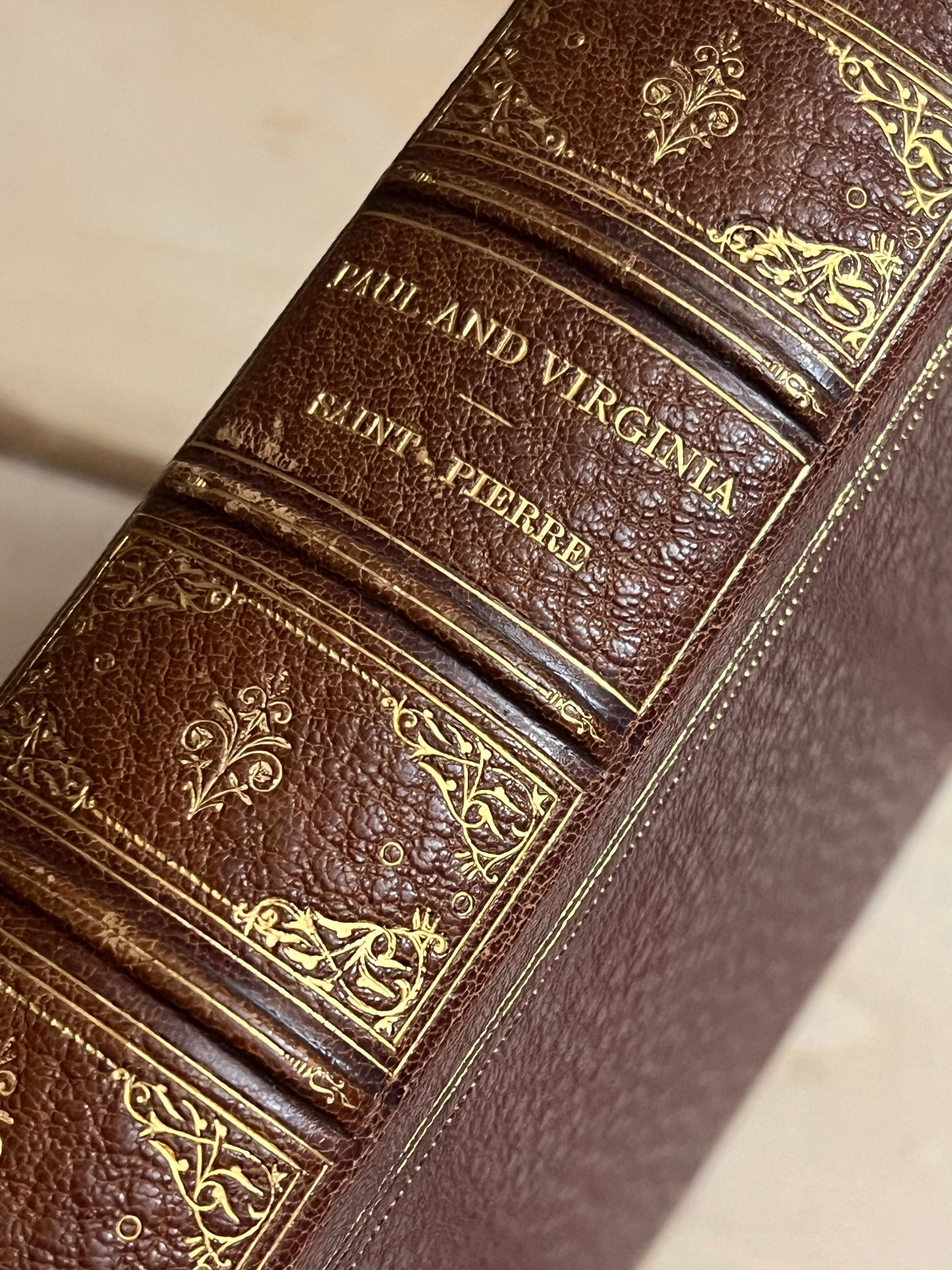 Luxurious Blue Leather Fine Binding 1880s Limited Edition. Paul and ...