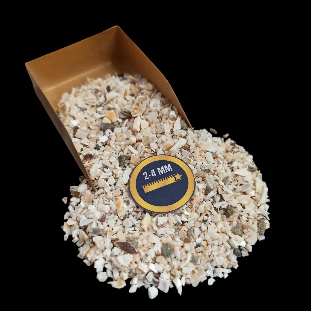 Natural Coarse Crushed Abalone Shell Gemstone 2-4mm for Resin Art ...