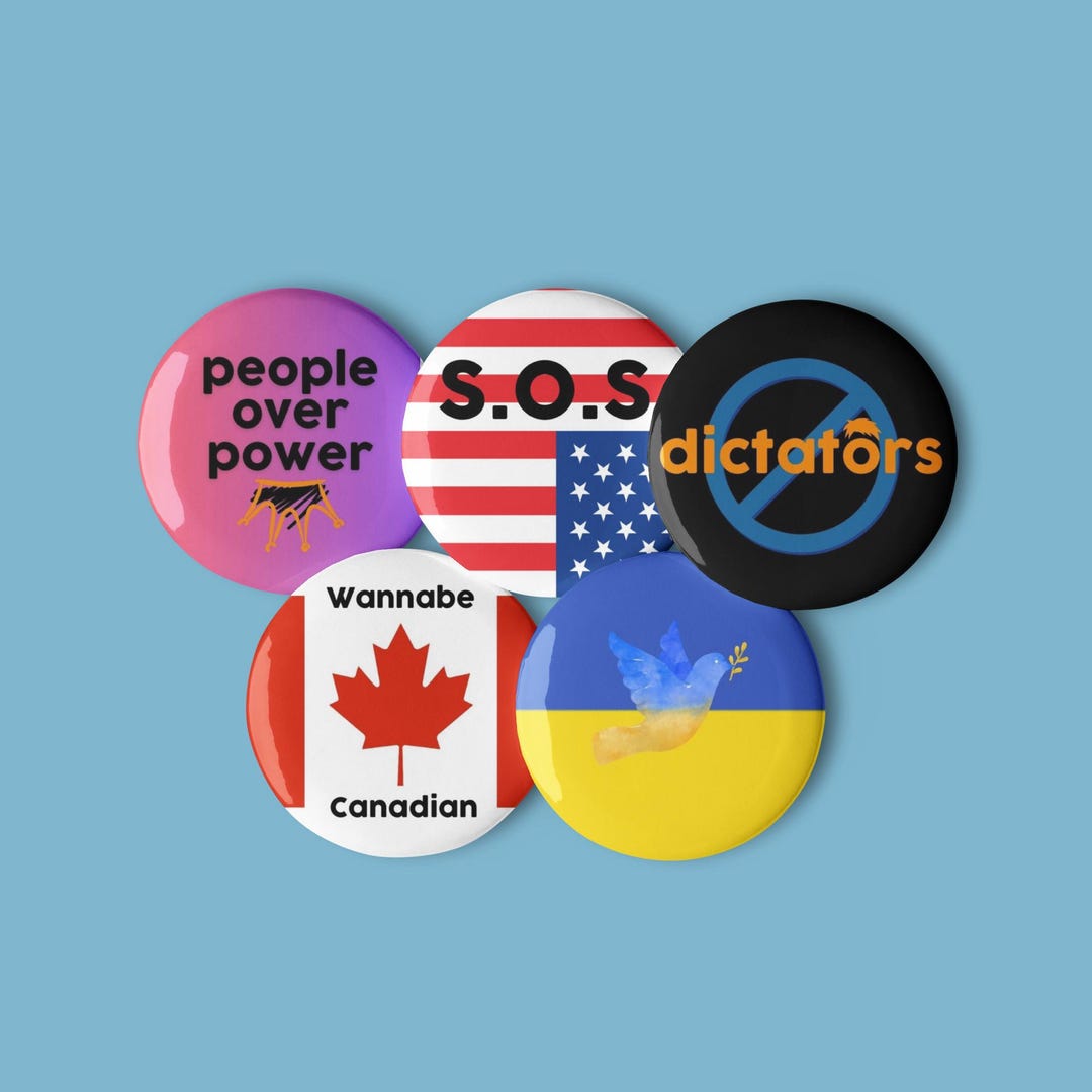 American Idiot Pin Set, 2.25 Inch - Etsy