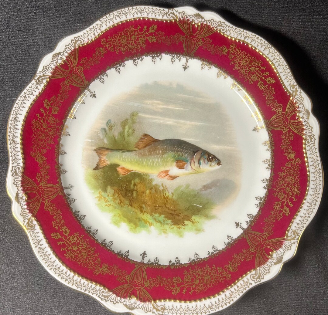 Royal Austria 0&EG Fish Themed Serving Plate 8.75 Antique Age as New - Etsy