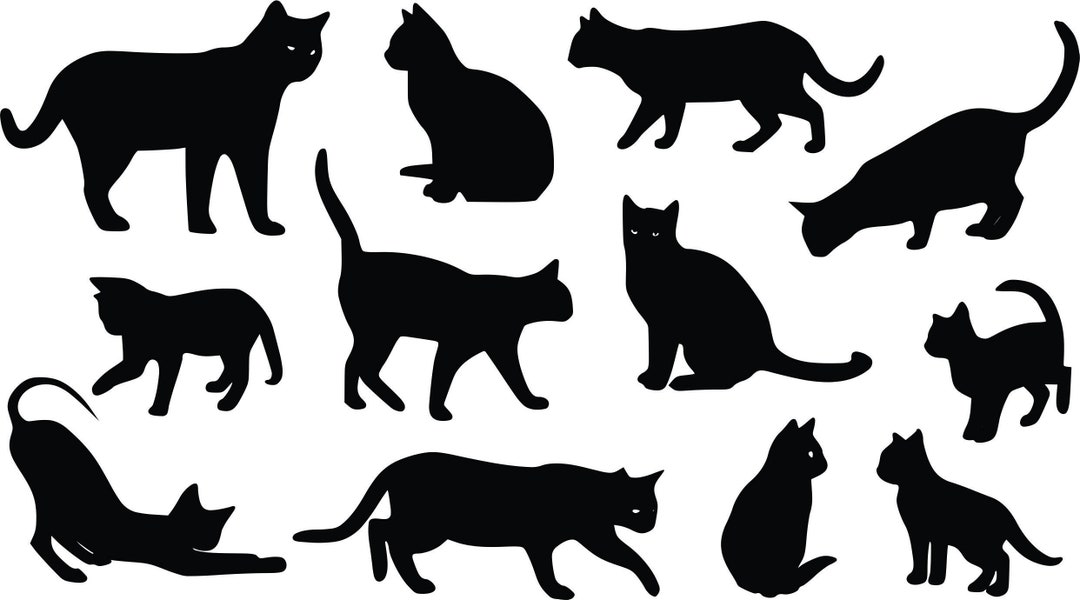 Cats Vector File, Cute, Funny, Dxf, SVG, JPG ESP Png - Etsy
