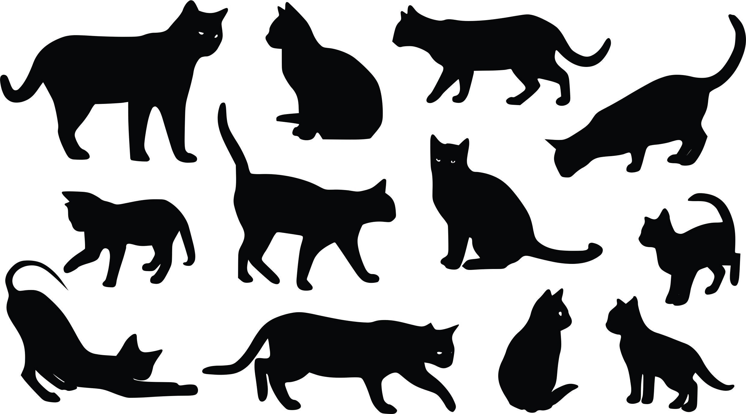 Cats Vector File, Cute, Funny, Dxf, SVG, JPG ESP Png - Etsy