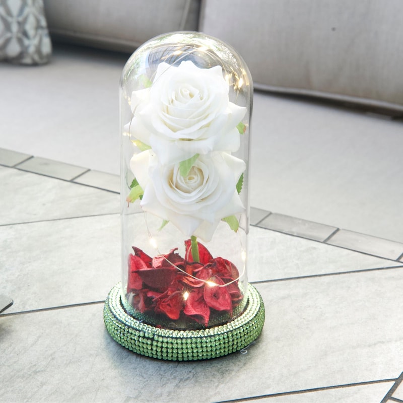 Crystal Dome Display - Etsy