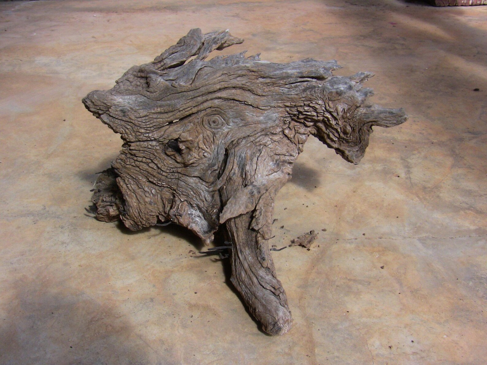 Twisted Hunk of Oak Tree Bark driftwood-like: Decoration for Insect ...