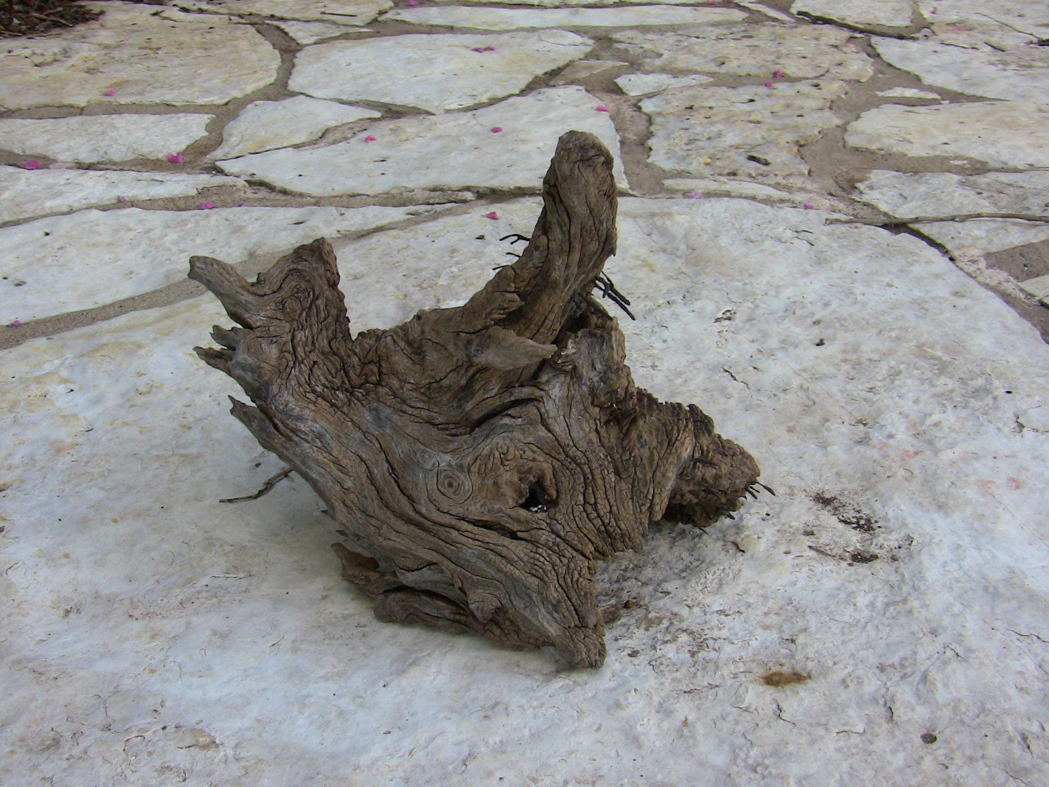 Twisted Hunk of Oak Tree Bark driftwood-like: Decoration for Insect ...