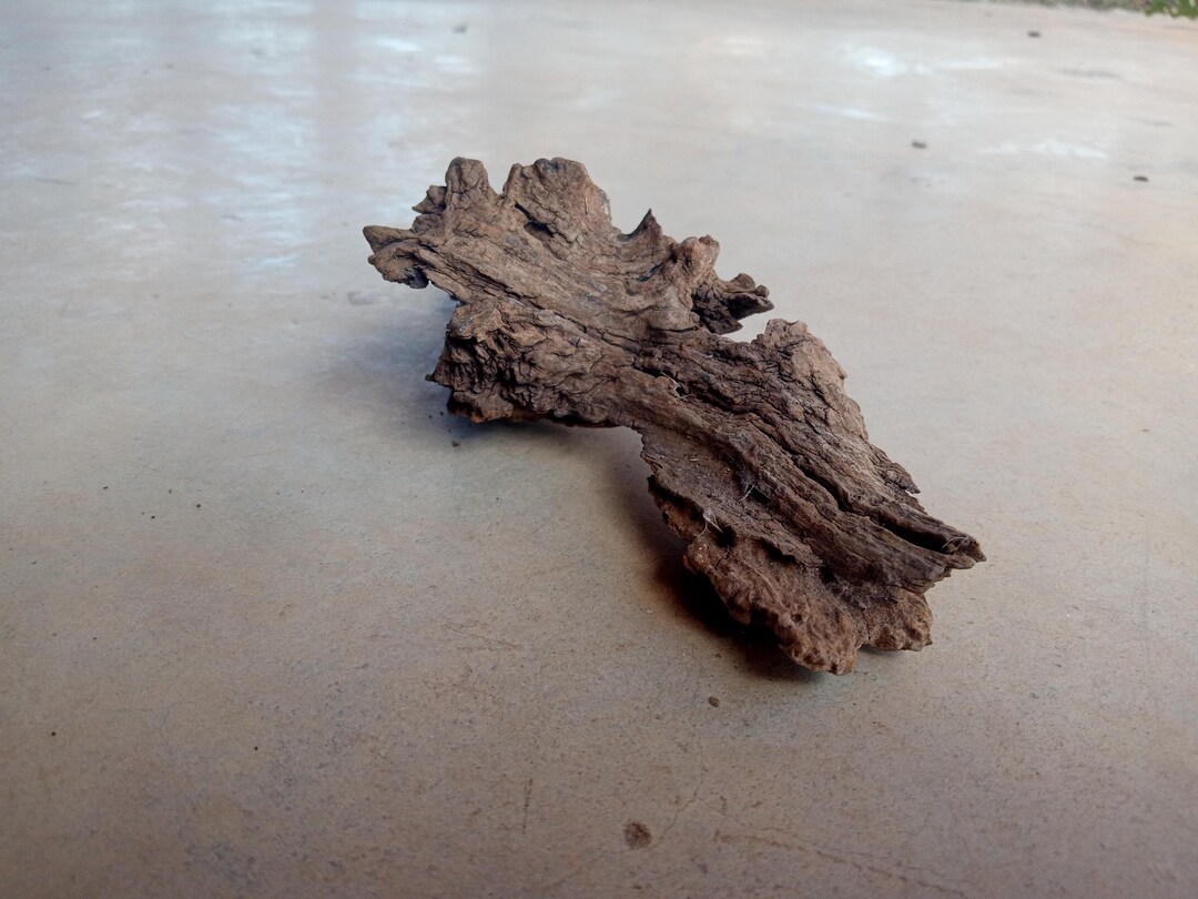 Twisted and Knurled Oak Tree Bark or Branch driftwood-like: Decoration ...