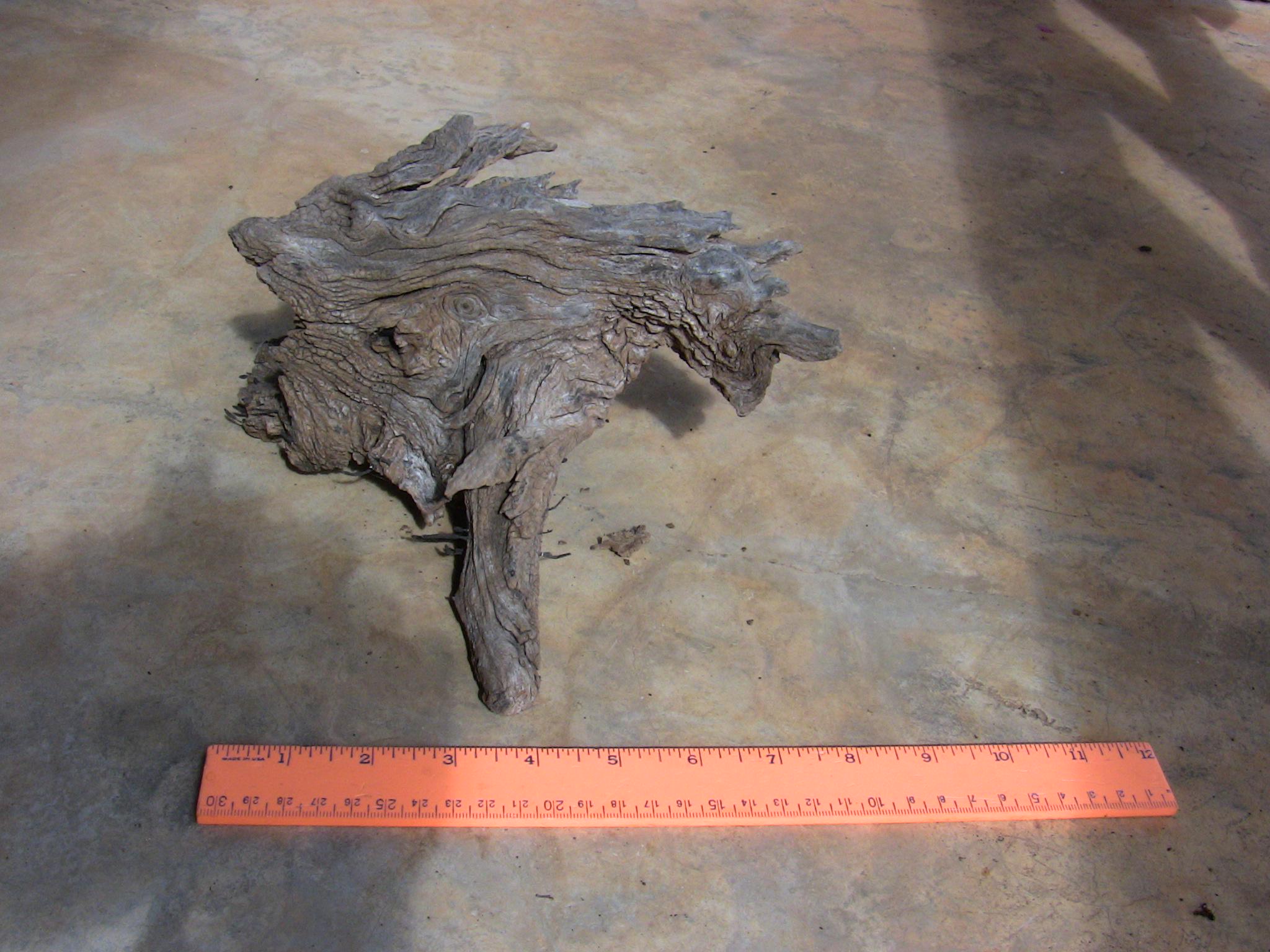 Twisted Hunk of Oak Tree Bark driftwood-like: Decoration for Insect ...