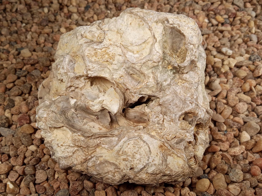 Aquarium Rock in Natural Limestone for Fish Tanks, Hardscape Design or ...