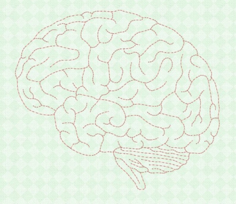 Human Brain Embroidery Design - Etsy