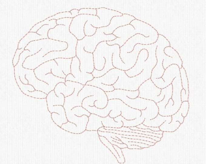 Brain Embroidery Design - Etsy
