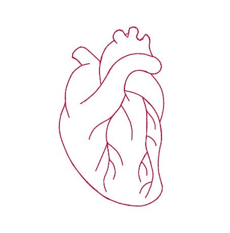 Anatomical Heart, Embroidery Design - Etsy