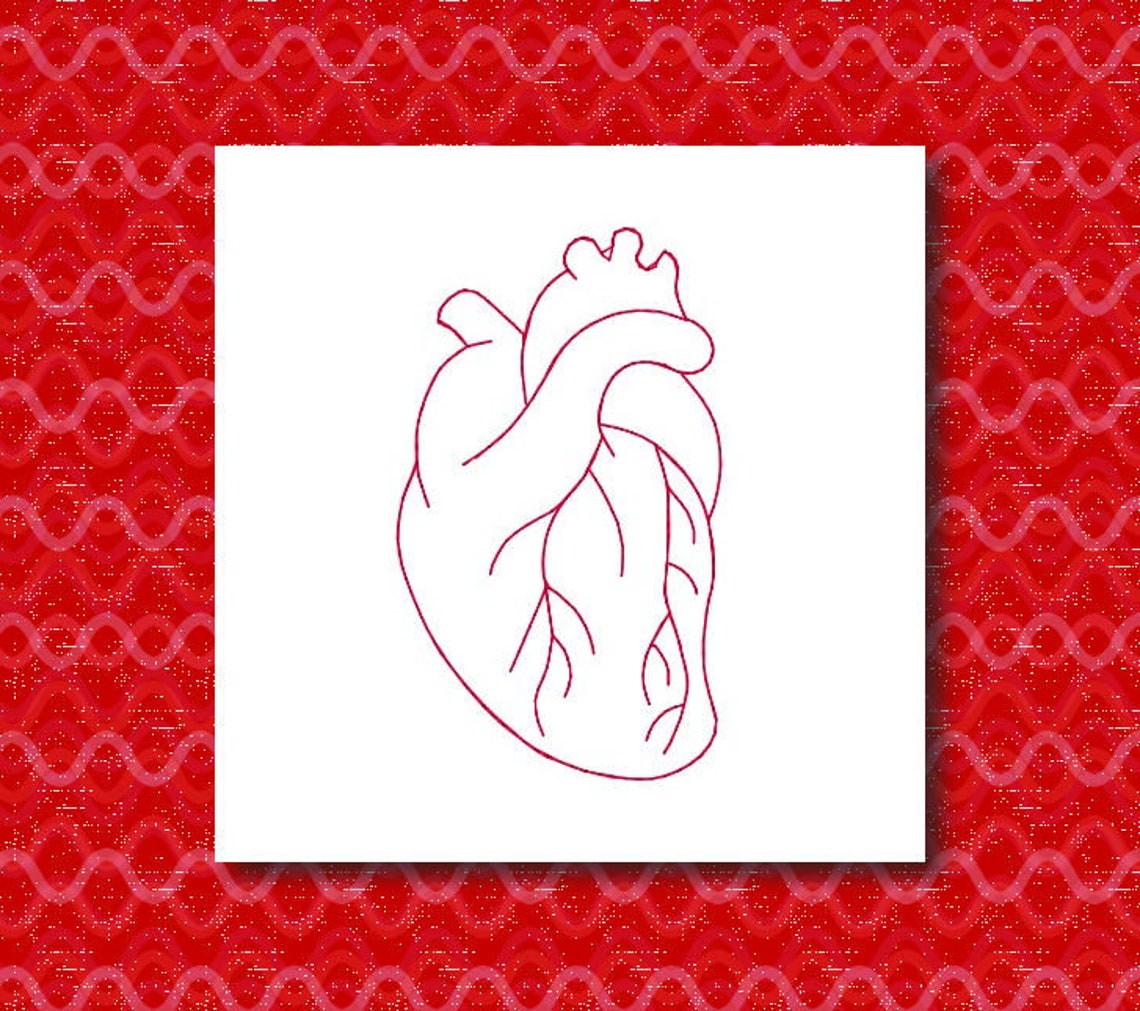 Anatomical Heart, Embroidery Design - Etsy