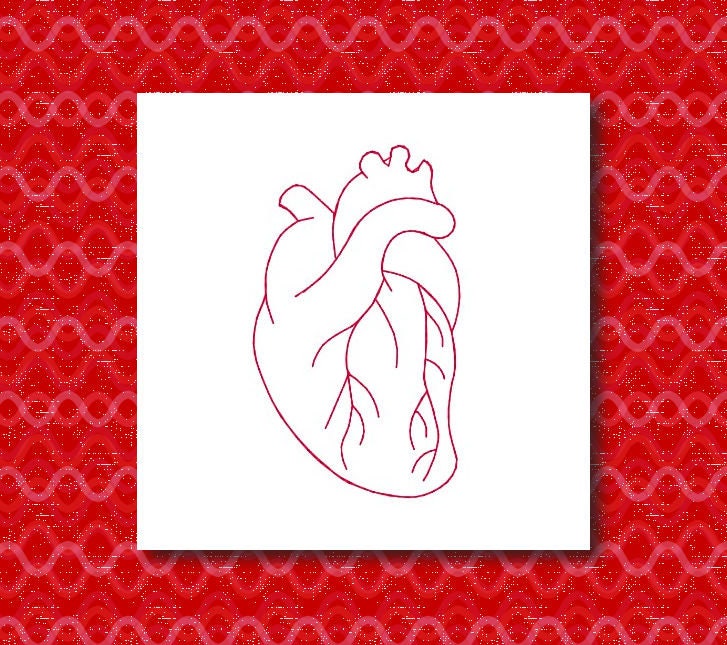Anatomical Heart, Embroidery Design - Etsy