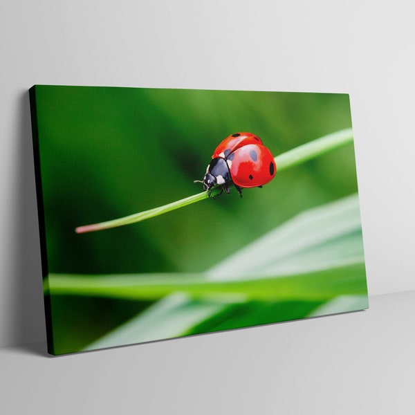 Ladybug Wall Art - Etsy