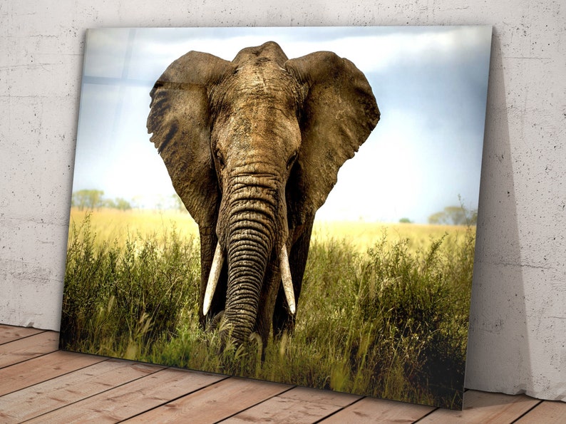 Elephant Wall Art Extra Large Glass Painting UV Printing - Etsy