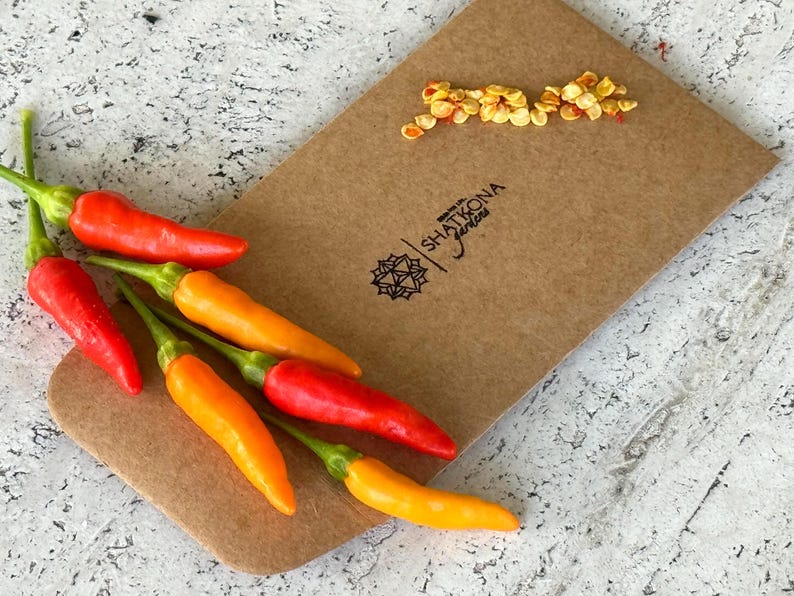 20 Florida Grove Pepper Seeds | Super Hot Wild Firecracker Variety ...