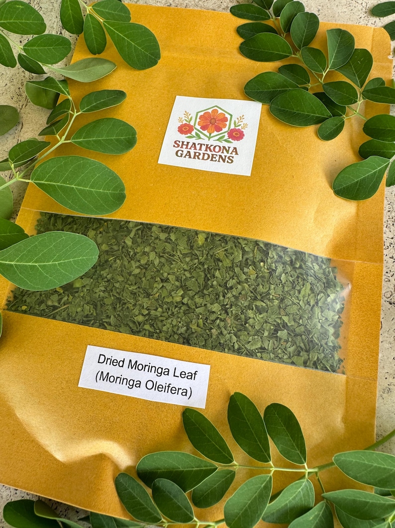 Dried Moringa Leaf – Moringa Oleifera | Miracle Tree | Florida Grown ...