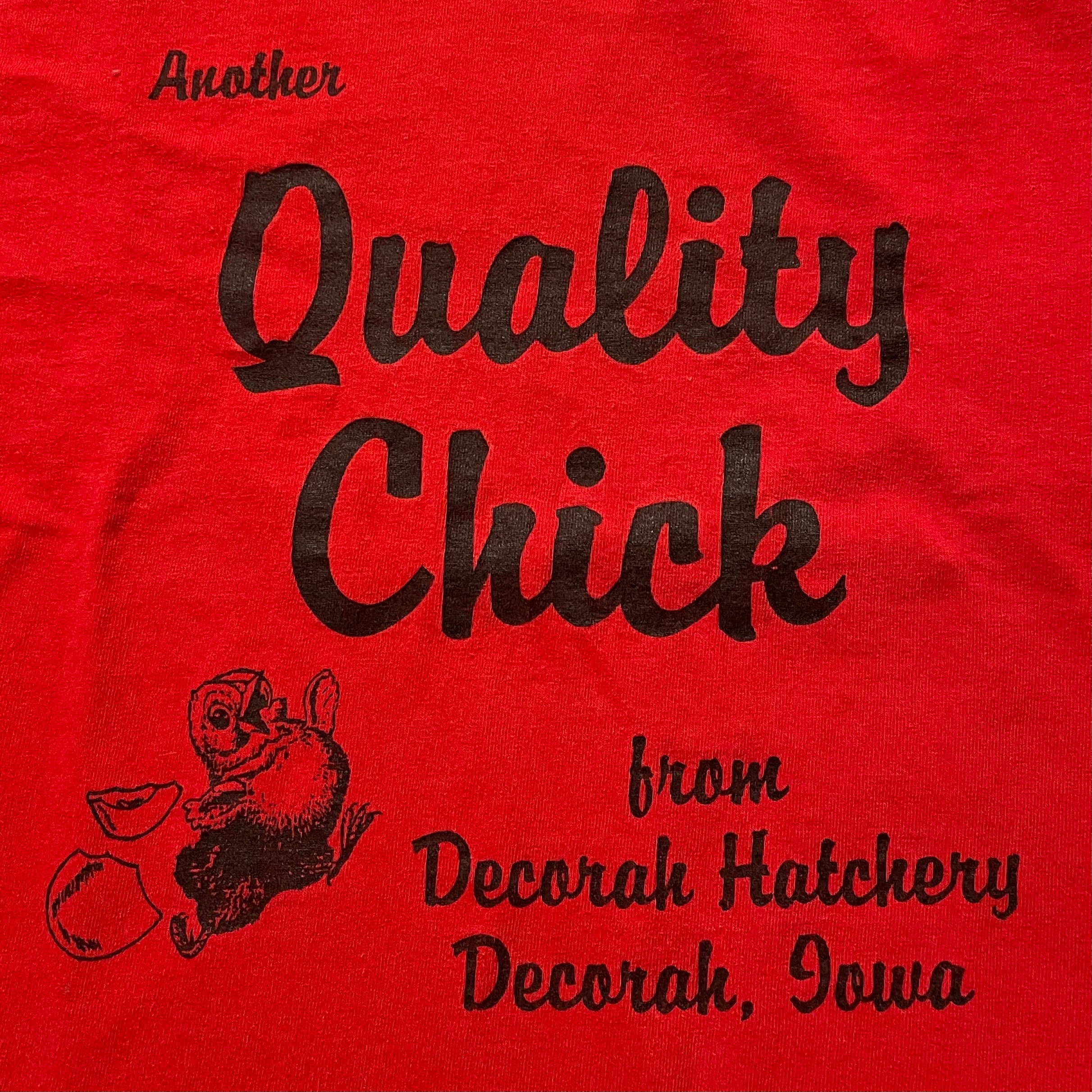 Super Cute Vintage Circa Y2K Another Quality Chick From Decorah ...