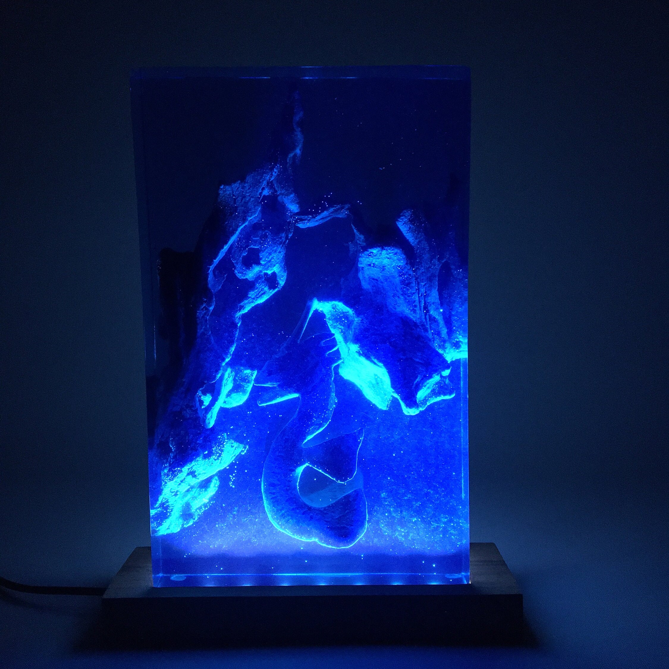 Ocean Creature Epoxy Resin Lamp, Resin Night Lamp, Decorative Epoxy ...