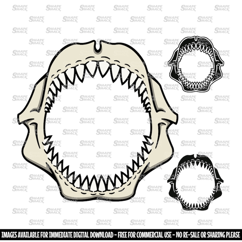 Jaws Canvas - Etsy